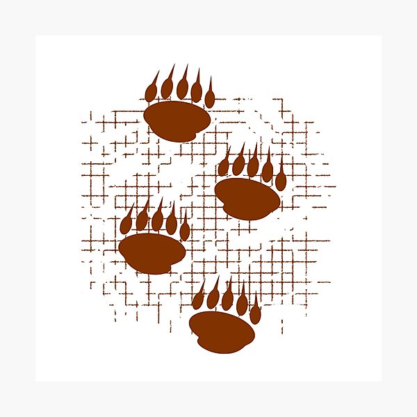 "Bear Cub Paw Prints On Distressed Background " Photographic Print by ...