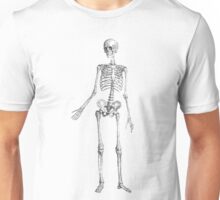 Skeleton: Gifts & Merchandise | Redbubble