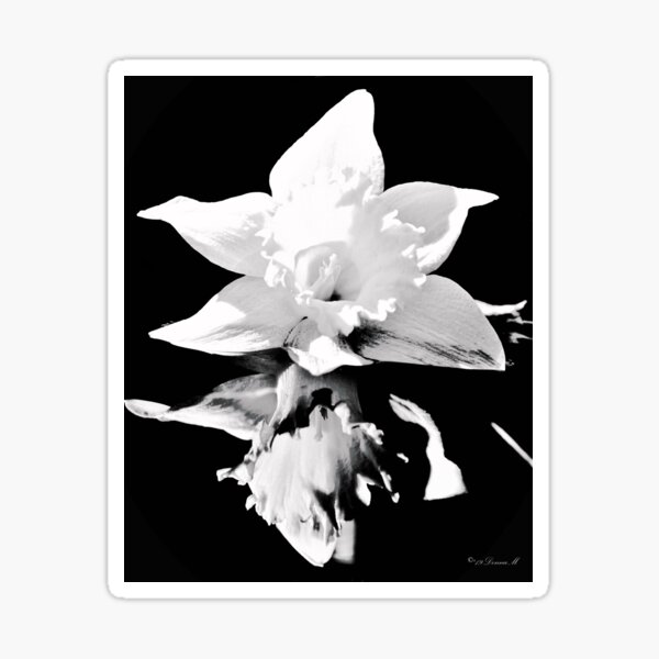 "Fainted" Sticker for Sale by DonnaM | Redbubble