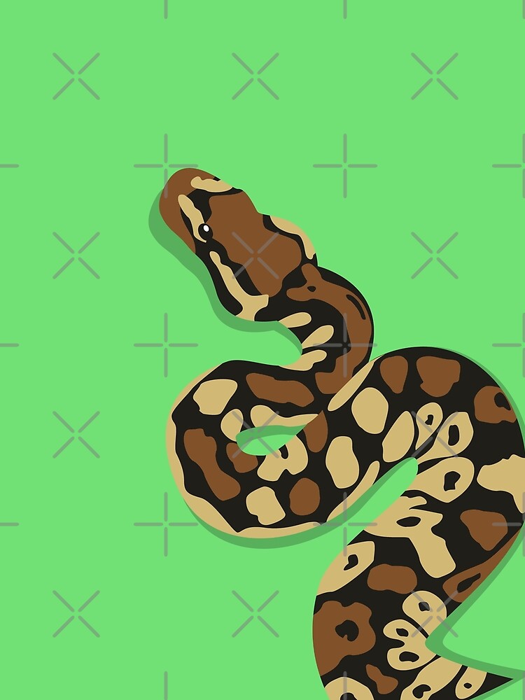 "Sneaky Ball Python" Sleeveless Top for Sale by EthanDecker | Redbubble