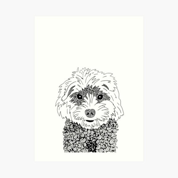 Cavoodle Wall Art | Redbubble