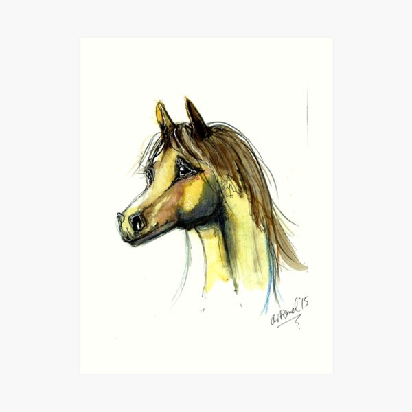 Brumby Art Prints | Redbubble