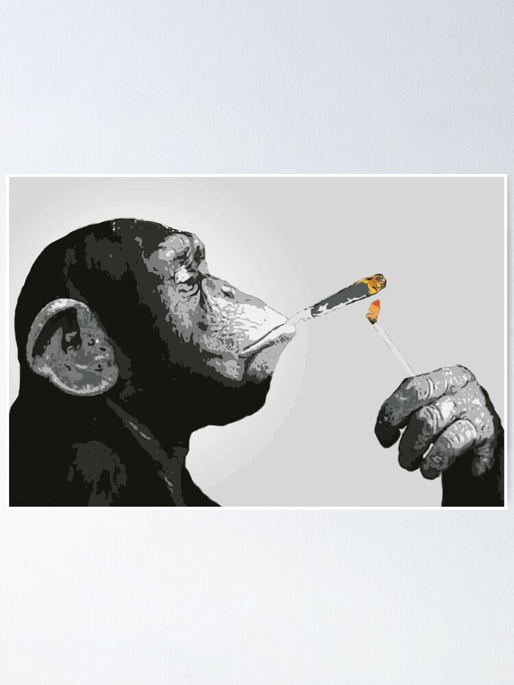 "Banksy Steez Chimp Monkey Smoking Joint" Poster for Sale by bufumofo ...