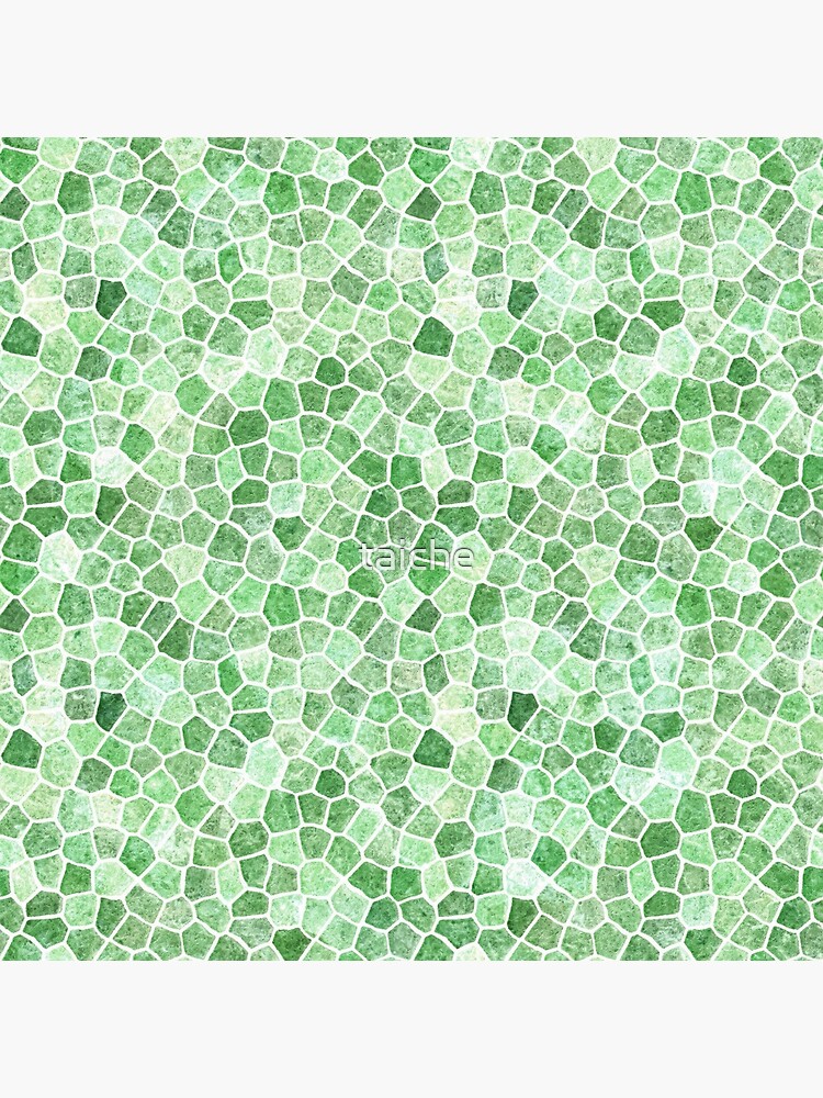 "Squamous Scaly Pattern In Pale Green" Poster for Sale by taiche ...