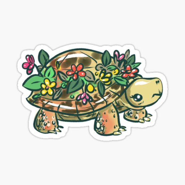 "Spring Time Box Turtle" Sticker by cheliscottdraws | Redbubble