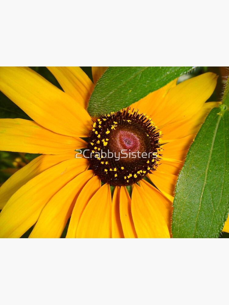 ""Hidden" Sunflower" Sticker for Sale by 2CrabbySisters | Redbubble