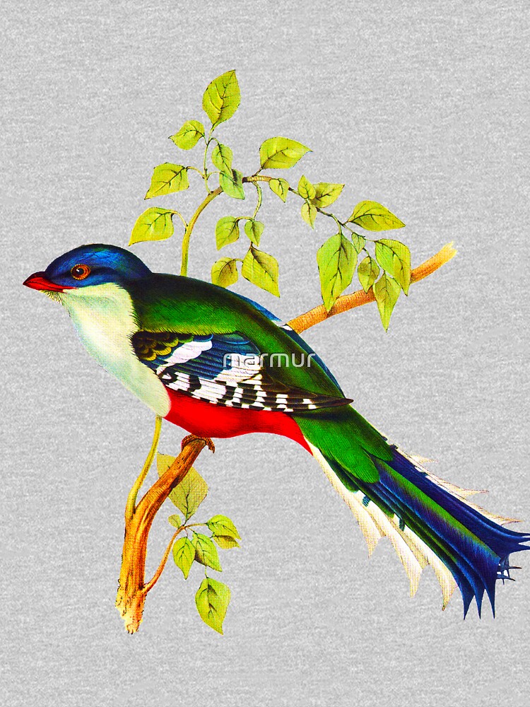 "Illustration of The Cuban trogon or tocororo" T-shirt by marmur ...