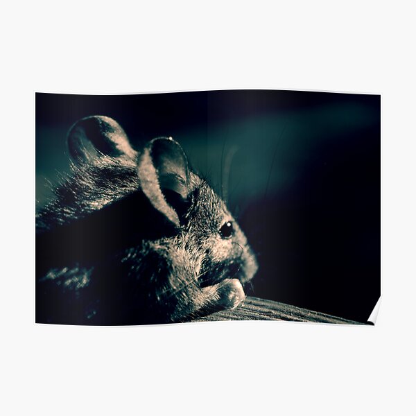 "matilda mouse" Poster for Sale by colinsart | Redbubble