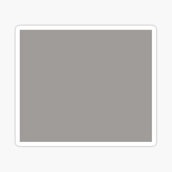 "Paloma | Color Trends | New York | Fall Winter 2019 2020 | Solid ...