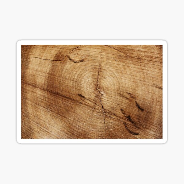 "Wood Grain" Sticker for Sale by DanaAndTheBooks | Redbubble