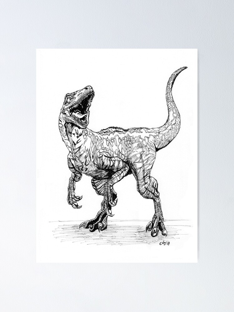 "Blue the Raptor - Dinosaur" Poster for Sale by Joyartfully | Redbubble