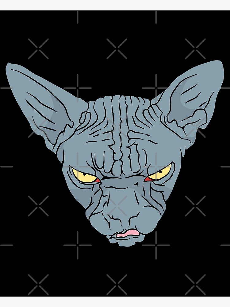 "Grumpy Angry Sphynx Cat Face" Poster by therealsadpanda | Redbubble