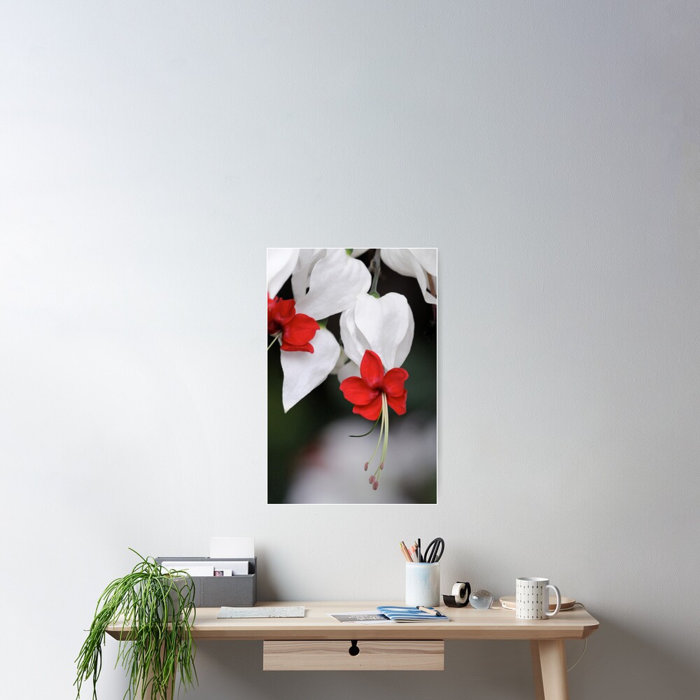 "CLASSY" Poster by mc27 | Redbubble