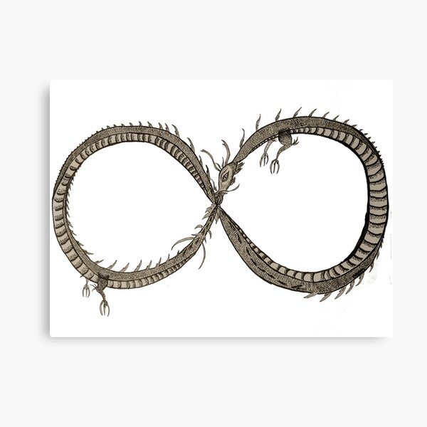 Infinity Sign Canvas Prints | Redbubble