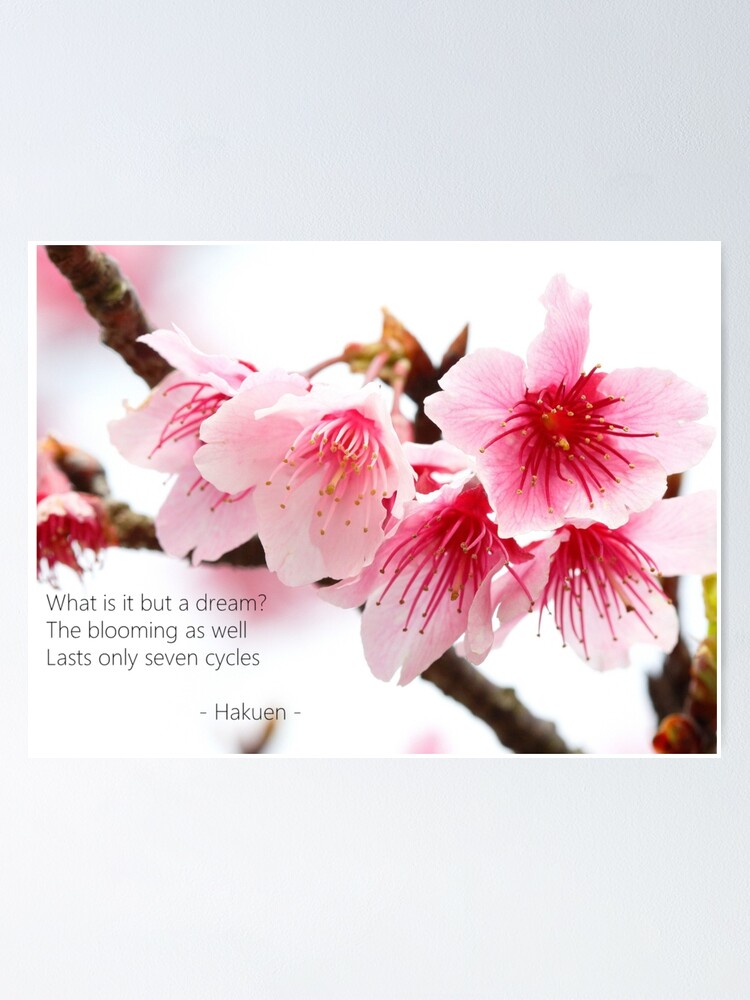 "[Haiku] What Is It But A Dream?" Poster for Sale by Garlaska | Redbubble