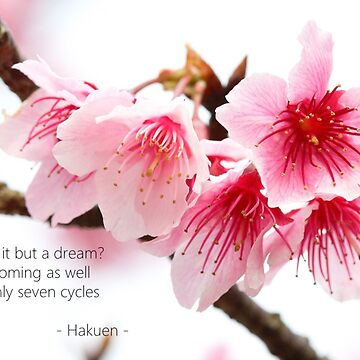 "[Haiku] What Is It But A Dream?" Poster for Sale by Garlaska | Redbubble