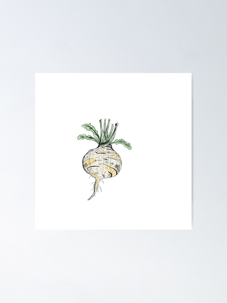 "Turnip" Poster for Sale by brittanymeister | Redbubble