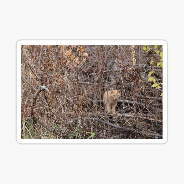 Redouble Stickers | Redbubble