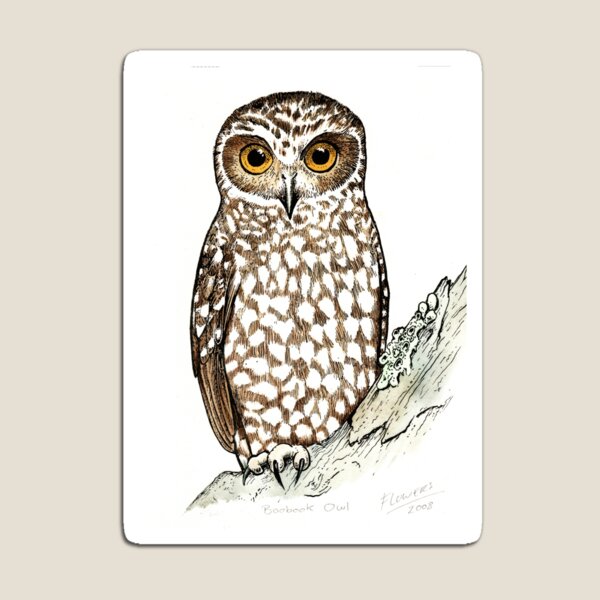 Boobook Owl Gifts & Merchandise | Redbubble