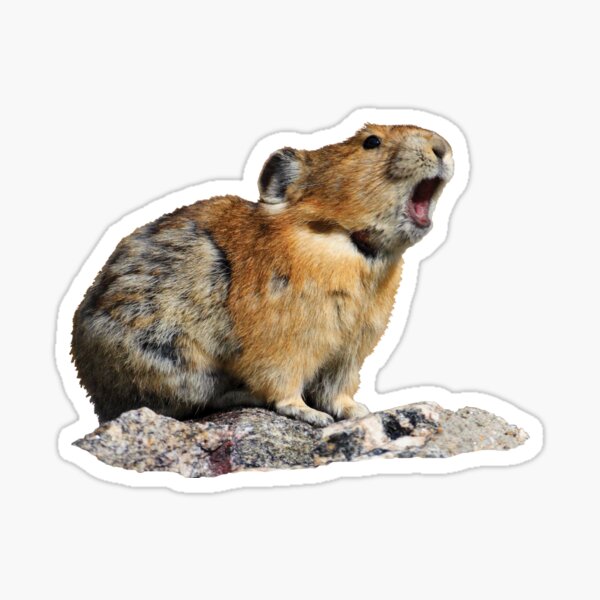 "Pika Howling" Sticker for Sale by WorldDesign | Redbubble