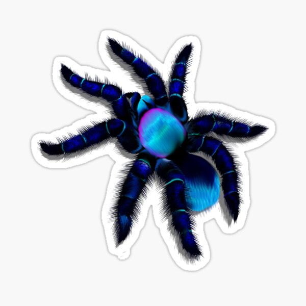 "Big Blue Spider" Sticker by Lotacats | Redbubble