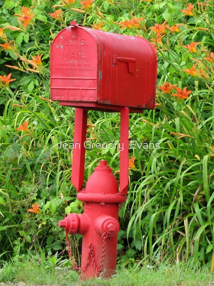 "Firehouse Mailbox and Fire Hydrant" iPhone Case for Sale by jgevans ...