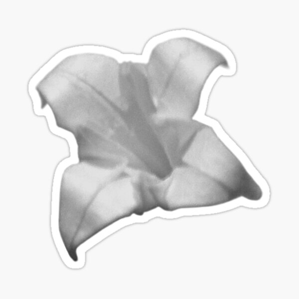 Folding Flower Merch & Gifts for Sale | Redbubble