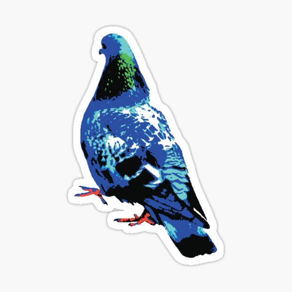 "Pidgeon 01" Sticker for Sale by asozustun | Redbubble
