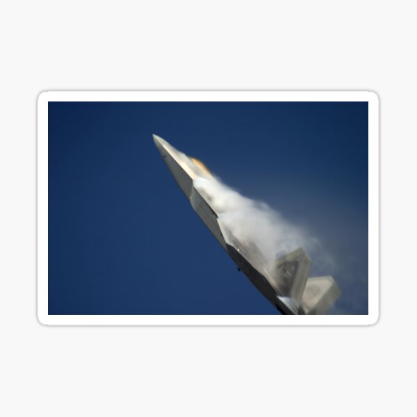 "Raptor Vapor" Sticker for Sale by cathygregg | Redbubble