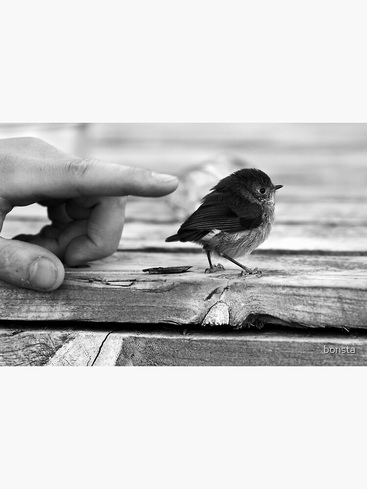 "Hang on, I'll give you a push" Sticker by bonsta | Redbubble