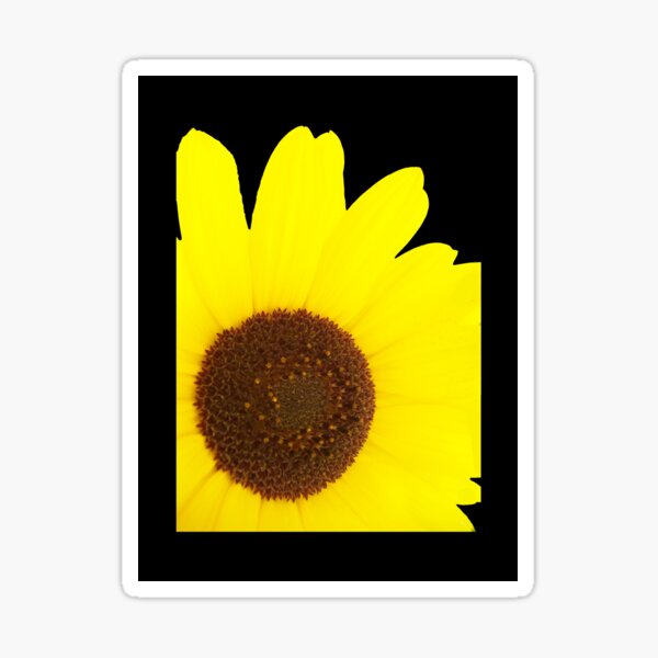 Sunflora Stickers | Redbubble