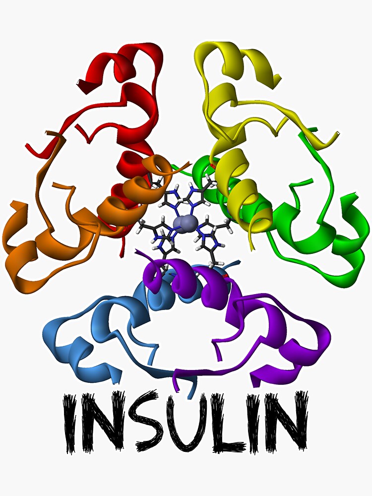 "Insulin Hexamer" Sticker by slicepotato | Redbubble