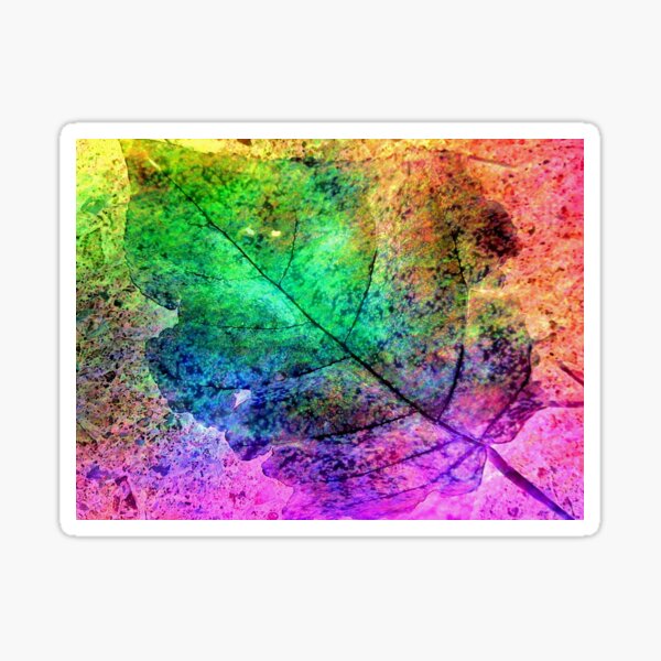 "Photosynthesis" Sticker for Sale by bgaynor | Redbubble