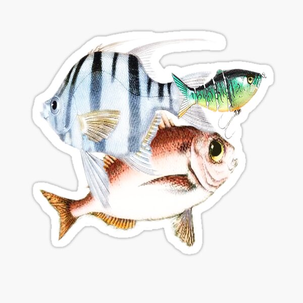 "Funny Fish" Sticker for Sale by ginnyl52 | Redbubble