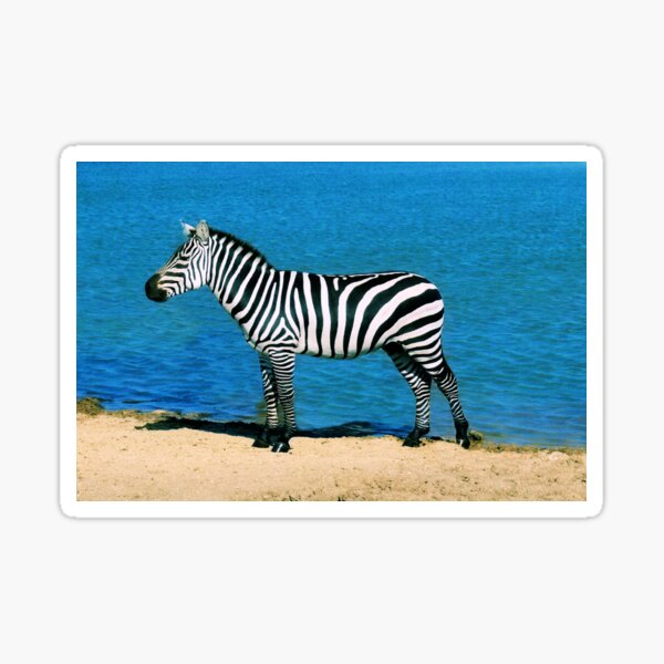 "Zebra" Sticker for Sale by puffkitty3 | Redbubble