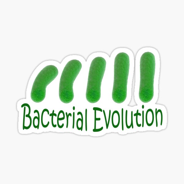 "Bacterial Evolution" Sticker by cometman | Redbubble