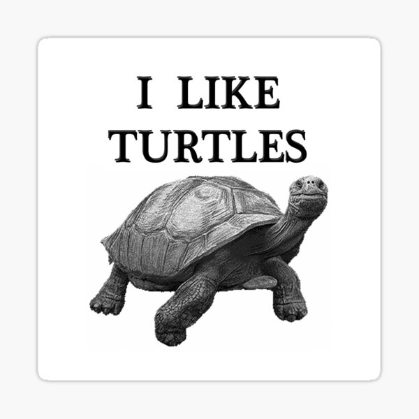 I Like Turtles Boy