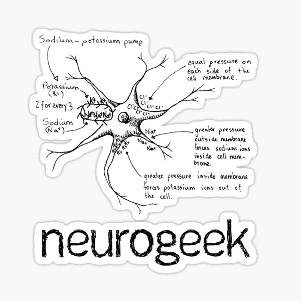Neuroscience Stickers | Redbubble