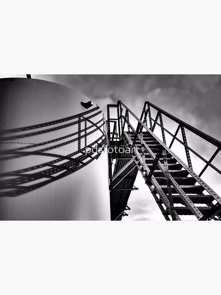 "cat walk" Sticker for Sale by pdsfotoart | Redbubble