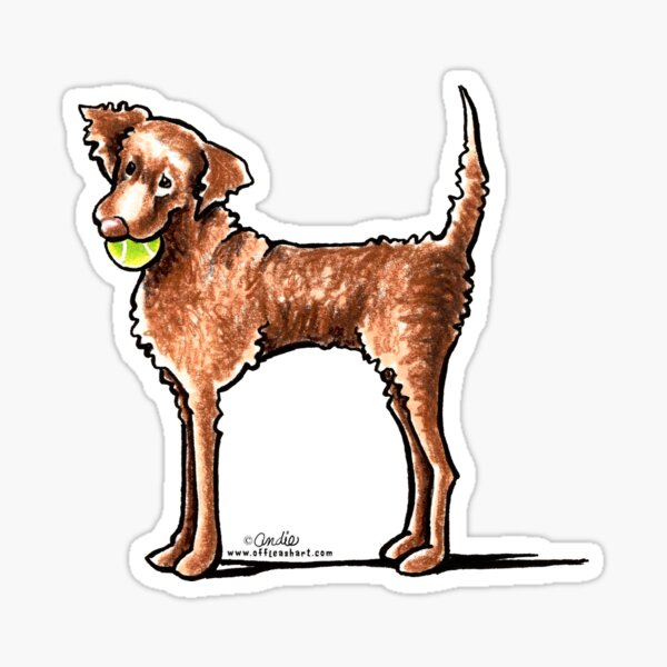 "Let's Play Chessie" Sticker for Sale by offleashart | Redbubble