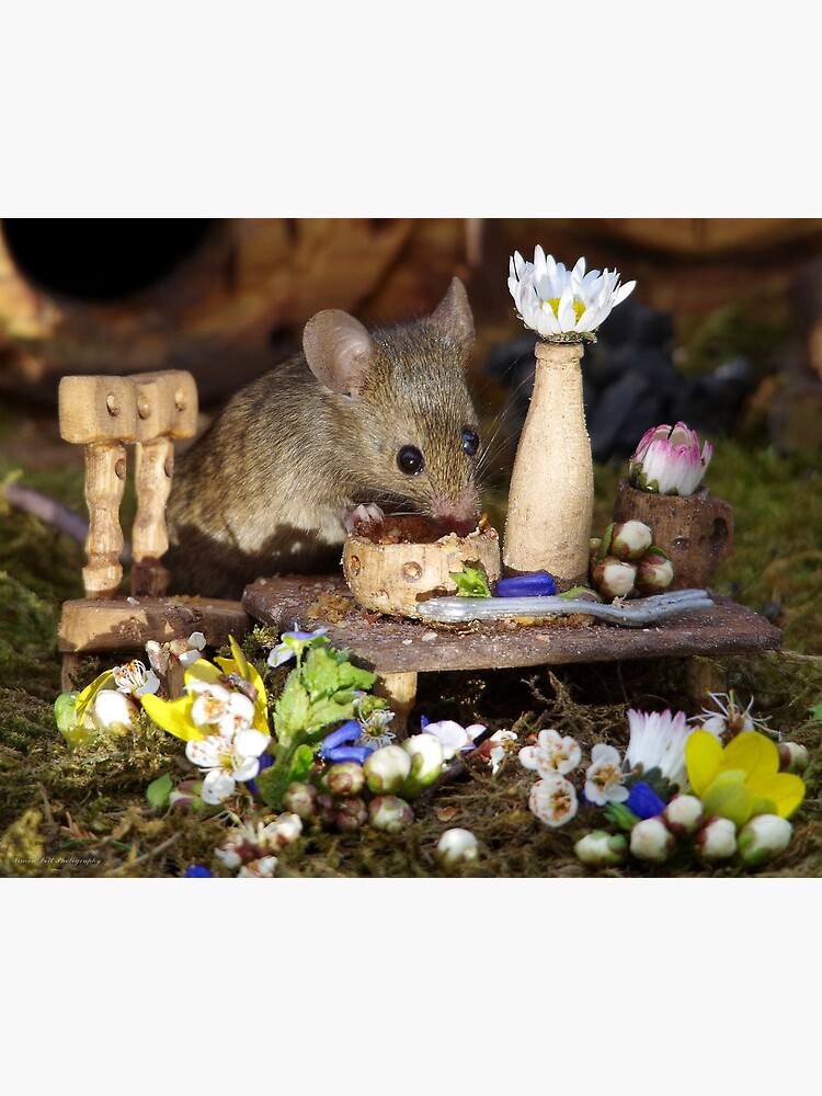 "George the mouse in a log pile house - Spring flowers" Art Print by ...