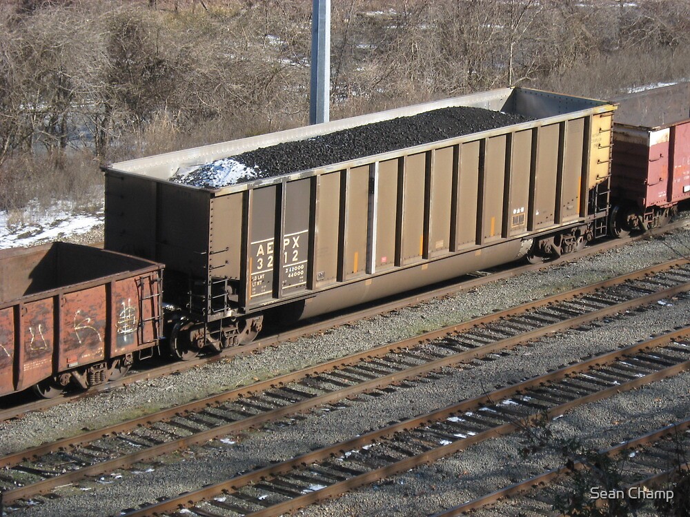 "Coal Car, Jefferson City, December 2009" by Sean Champ | Redbubble