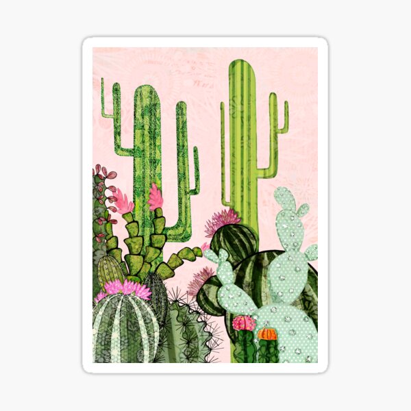 "Cacti Collage" Sticker for Sale by katherineblower | Redbubble