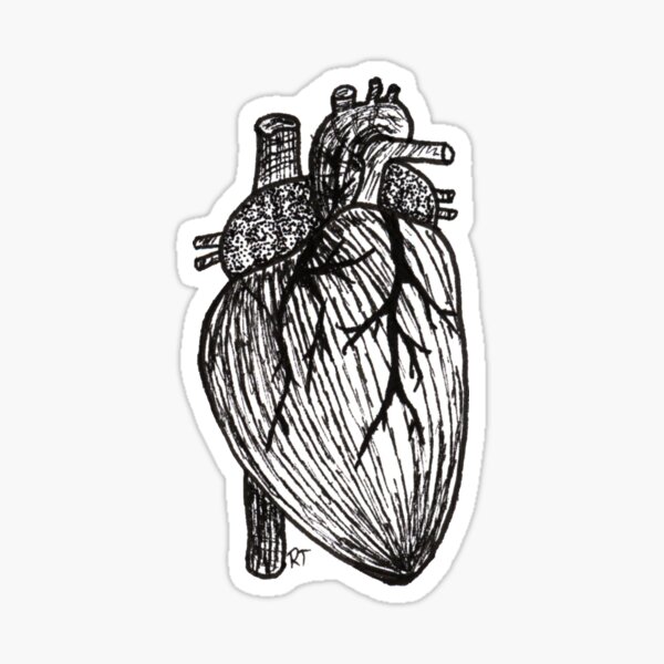 "Human Heart" Sticker by Rythomas | Redbubble