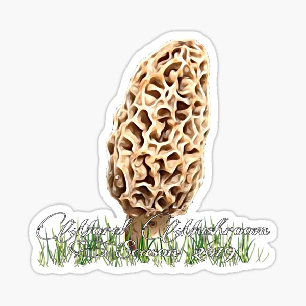 "Loner Morel Mushroom Season 2019" Sticker for Sale by natnat7w | Redbubble