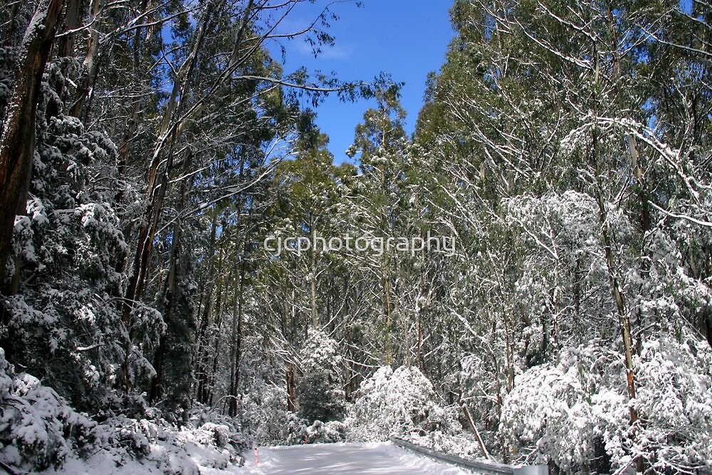 "The road to the Summit of Mt.Baw Baw" by cjcphotography | Redbubble