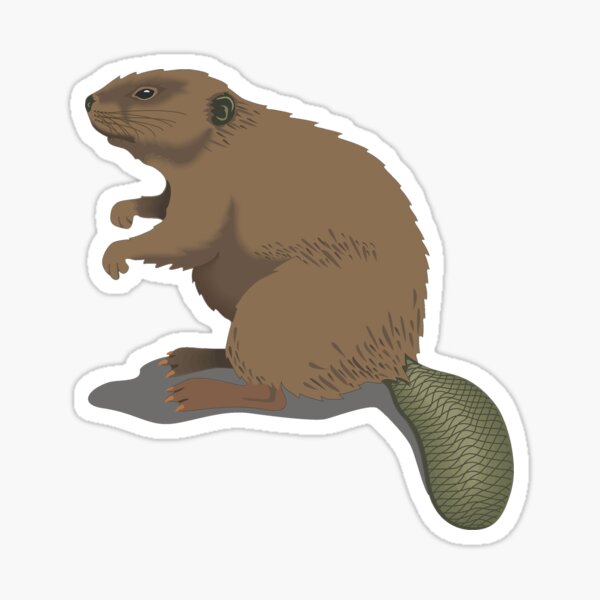 "Beaver" Sticker for Sale by Judge-Hatchet | Redbubble