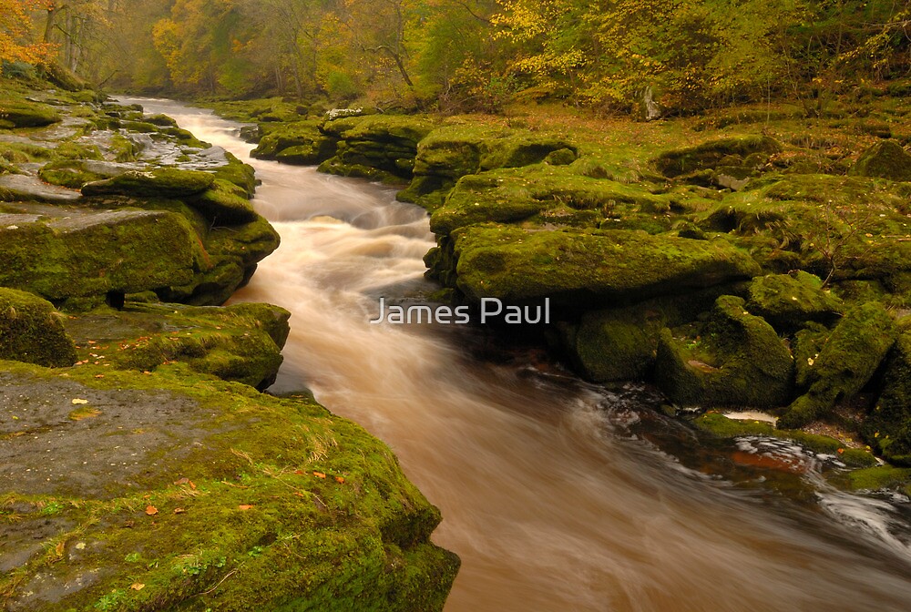"The Strid, Bolton Abbey, Wharfedale, Yorkshire Dales" by James Paul ...