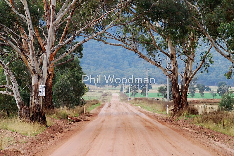 "The Road to Glen Davis NSW Australia" by Phil Woodman | Redbubble