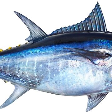 "Bluefin Tuna" Sticker for Sale by William Lee | Redbubble